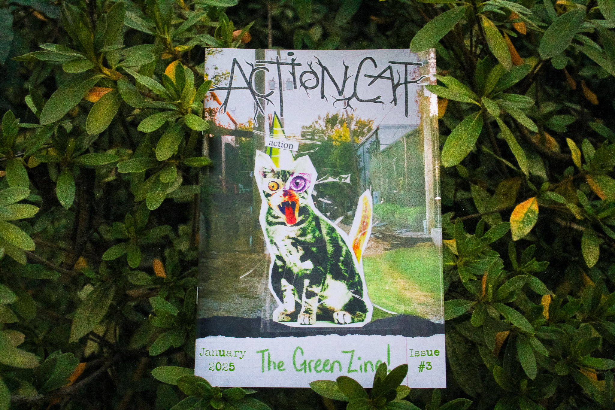 FAQ – Action Cat Zine